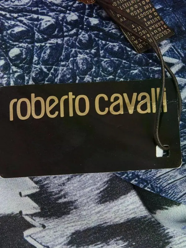 Roberto Cavalli Snake-print Silk Scarf
