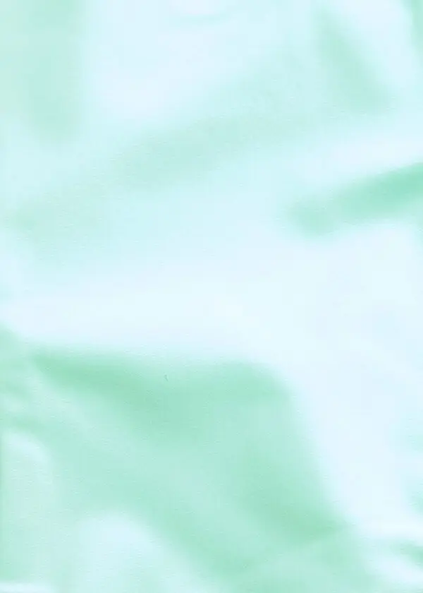 AWAY THAT DAY Fiji Bikini Briefs - Mint
