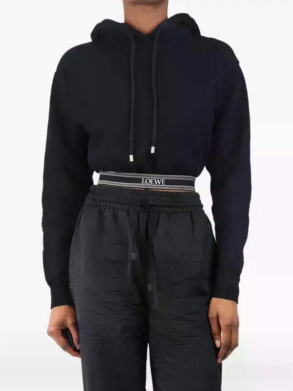 Loewe Cropped Logo Hoodie