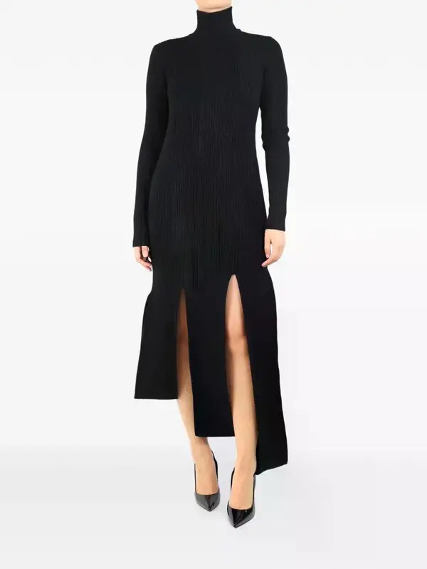 Bottega Veneta Ribbed High-neck Dress