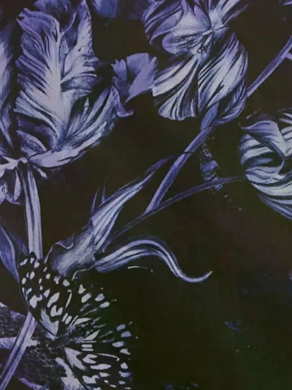 Just Cavalli Floral Print Dress