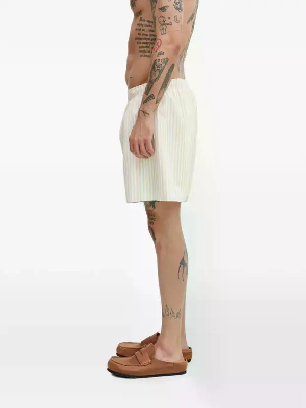 Lacoste Striped Swim Shorts