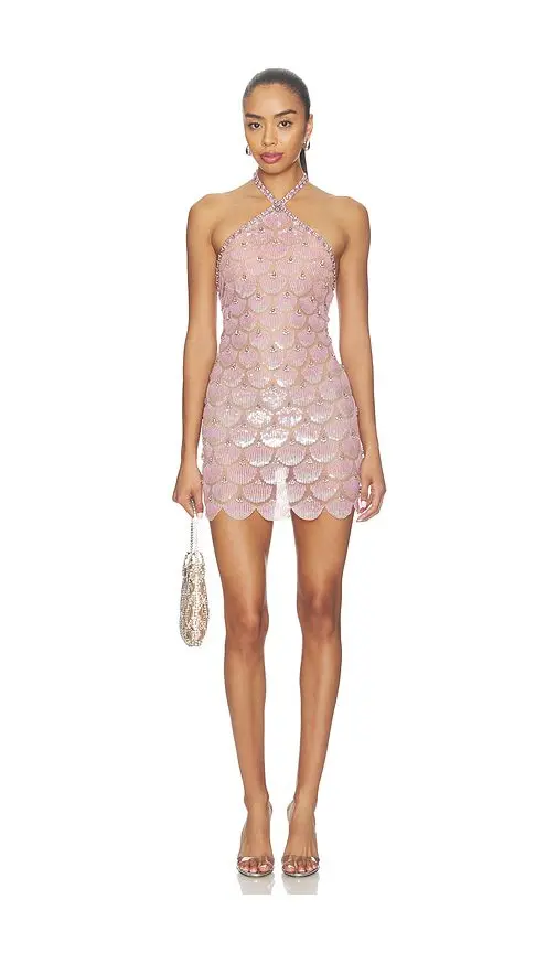 Retrofete Ninette Embroidered Mini Dress In Pink - Rosa