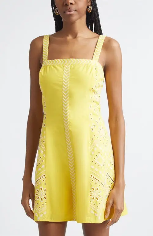 Ramy Brook Fawn Eyelet Embroidery Minidress