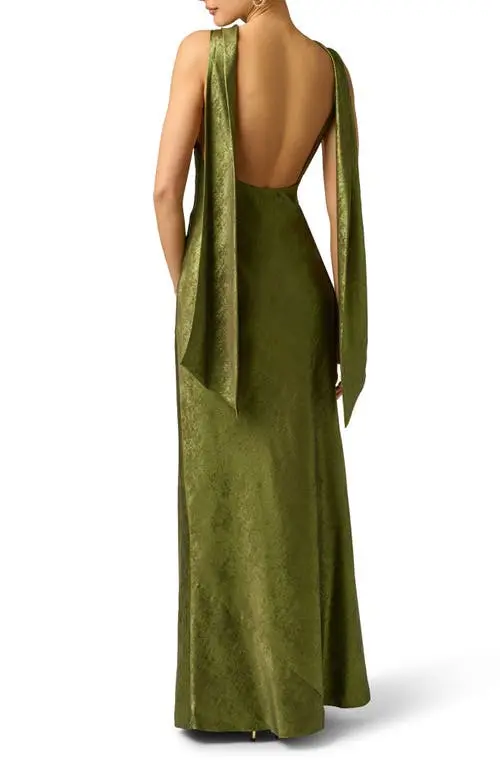 Adrianna Papell Sleeveless Gown With Cowl Neck And Draped Back