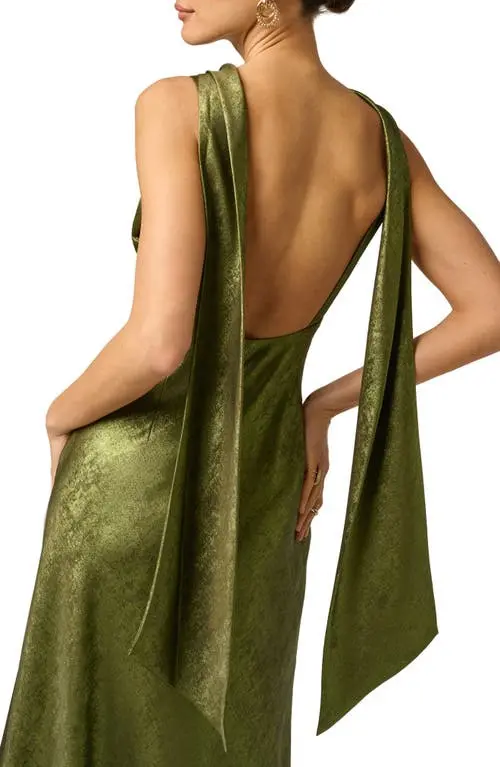 Adrianna Papell Sleeveless Gown With Cowl Neck And Draped Back