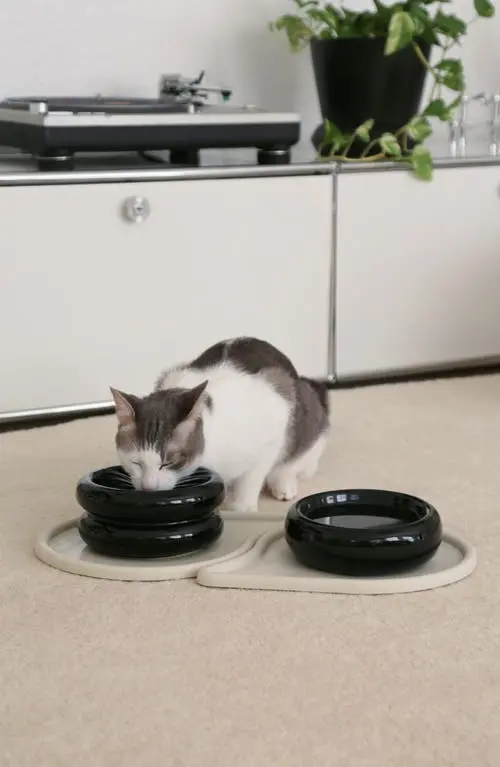 CATENARY Onyx Halo Cat Bowl