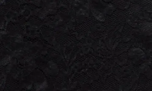 EDIKTED Stephanie Lace Minidress