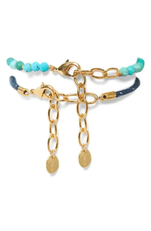 Chan Luu And Citrine Anklet Set