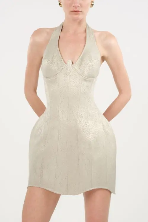 NOCTURNE Snake-print Boned Mini Corset Dress