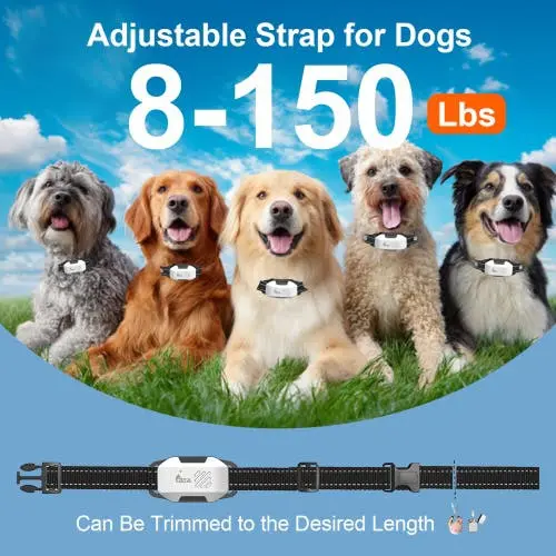 TATA Pupguide 3000 Pro 2 In 1 Ultrasonic Dog Remote Trainer Collar