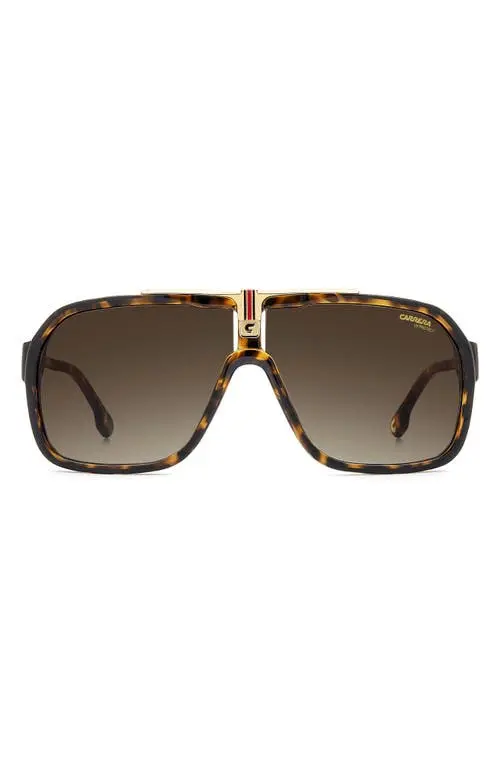 Carrera Eyewear Oversize Navigator Sunglasses - Havana/brown