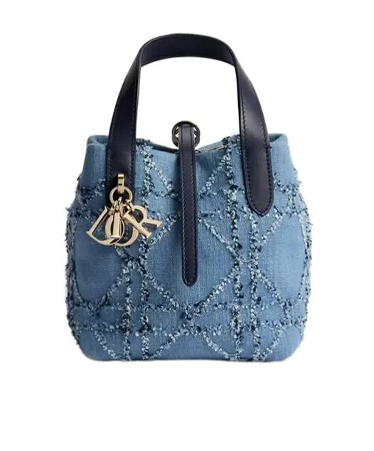 Dior Toujours Vertical Nano Tote Bag - Blue