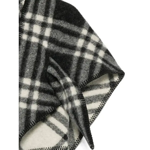 Burberry Scarves