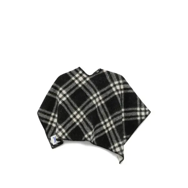 Burberry Scarves