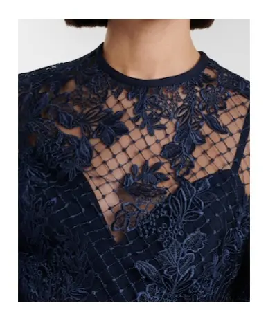 Elie Saab Embroidered Lace And Tulle Gown