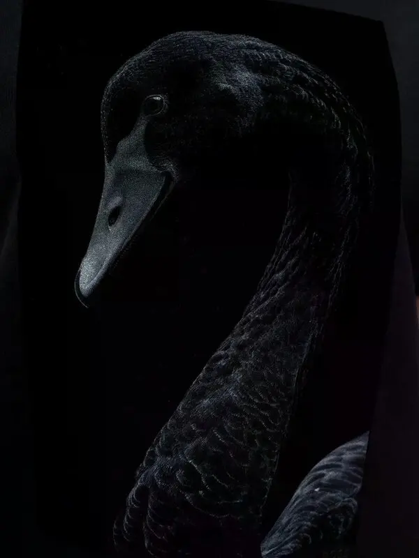 BOSS Swan Print T-shirt