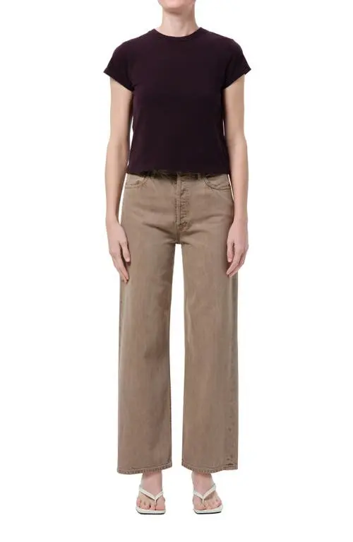 AGOLDE Ren Flyweight High Waist Ankle Wide Leg Jeans