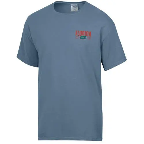 COMFORTWASH Florida Gators Big Name T-shirt