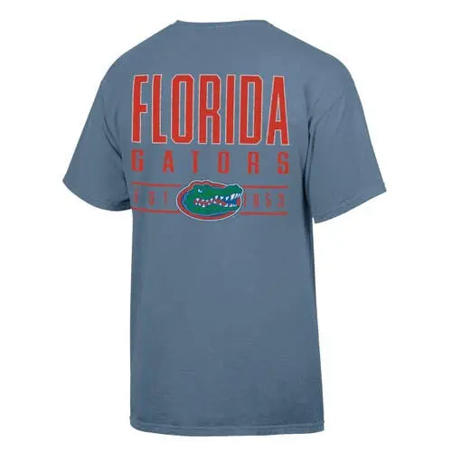 COMFORTWASH Florida Gators Big Name T-shirt