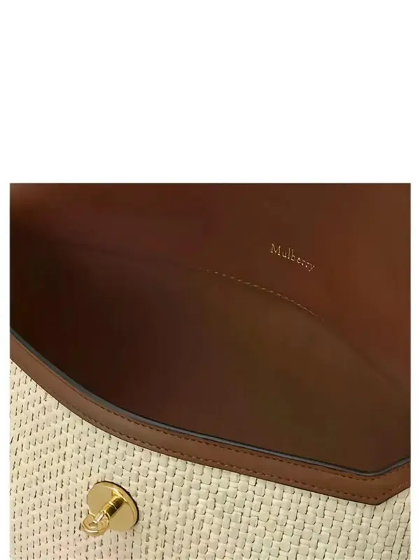 Mulberry Large Darley Pouch