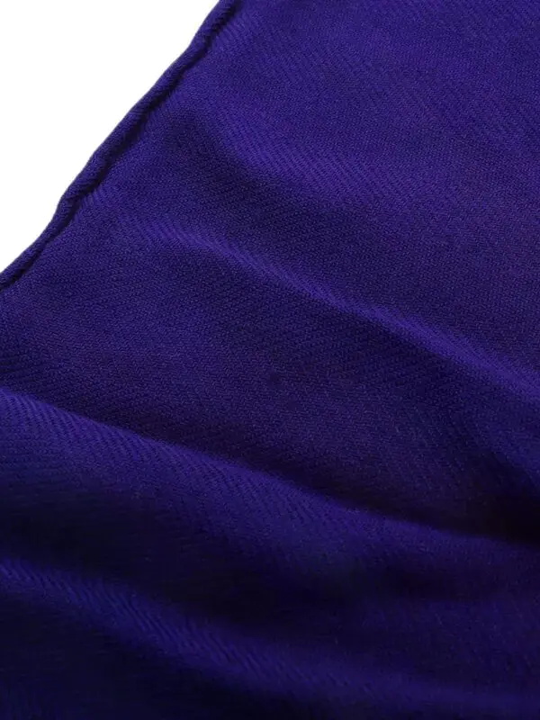 Hermès 2010s Tropiques Scarf