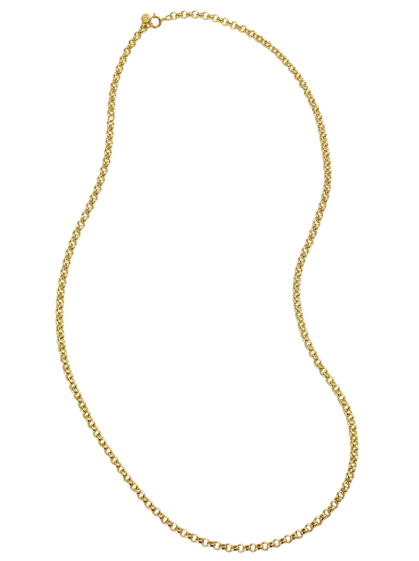 BY PARIAH 14k Belcher Chain Necklace