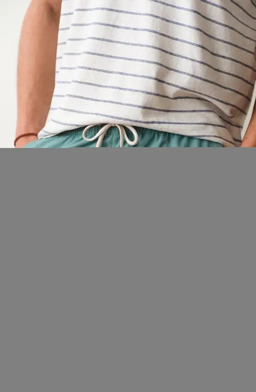 Marine Layer Lined Sport And Swim Shorts