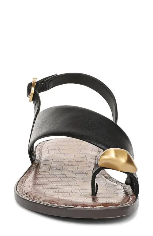 Sam Edelman Gace Toe Loop Slingback Sandal - Black