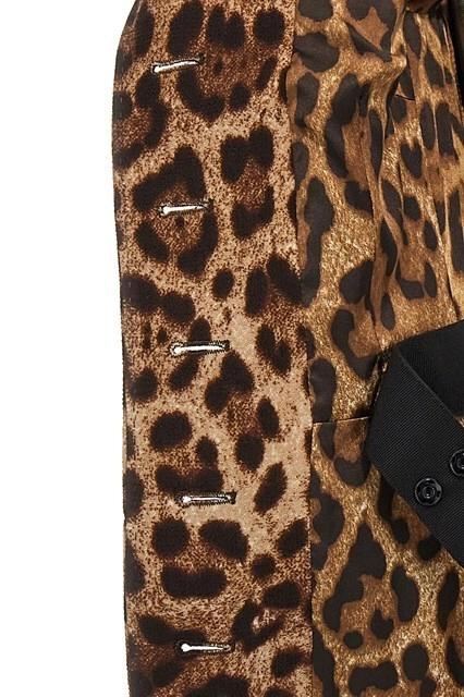 Dolce & Gabbana Leopard Print Single-breasted Jacket