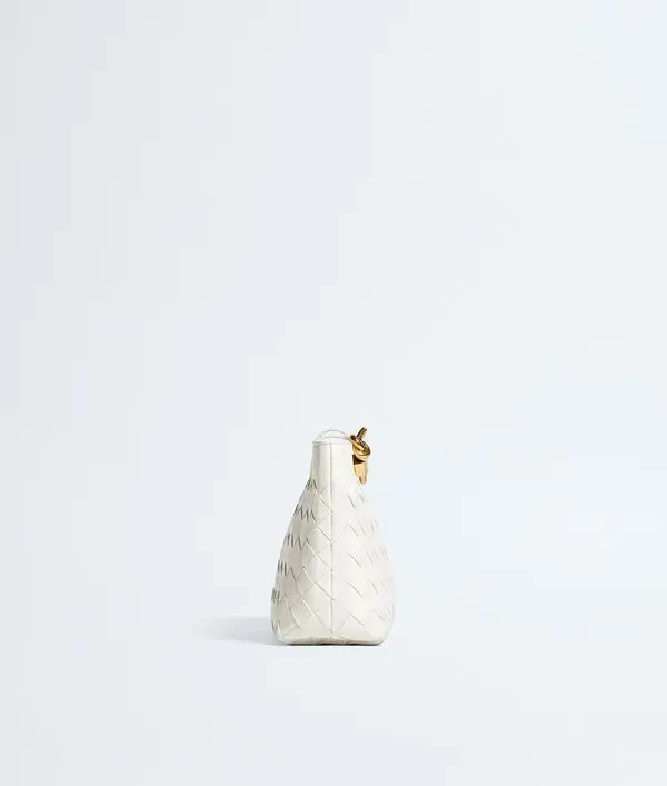 Bottega Veneta Andiamo Boat Pouch