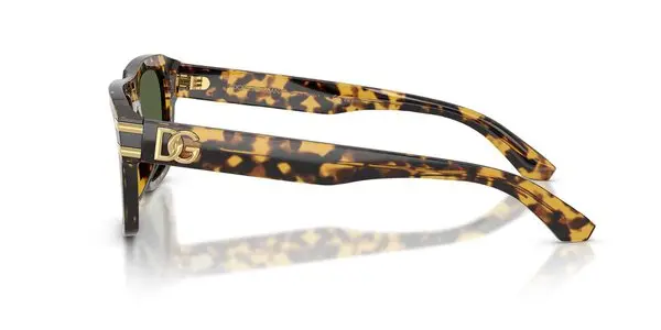 Dolce & Gabbana Dg-plaque Sunglasses