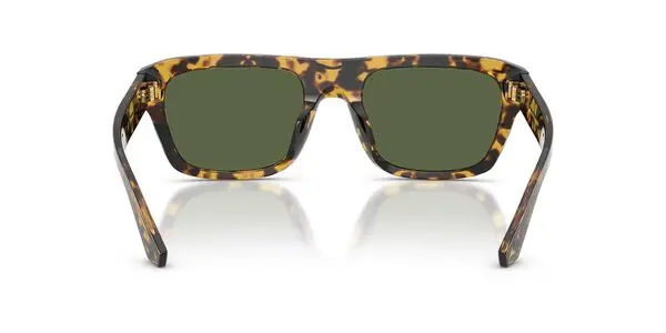 Dolce & Gabbana Dg-plaque Sunglasses