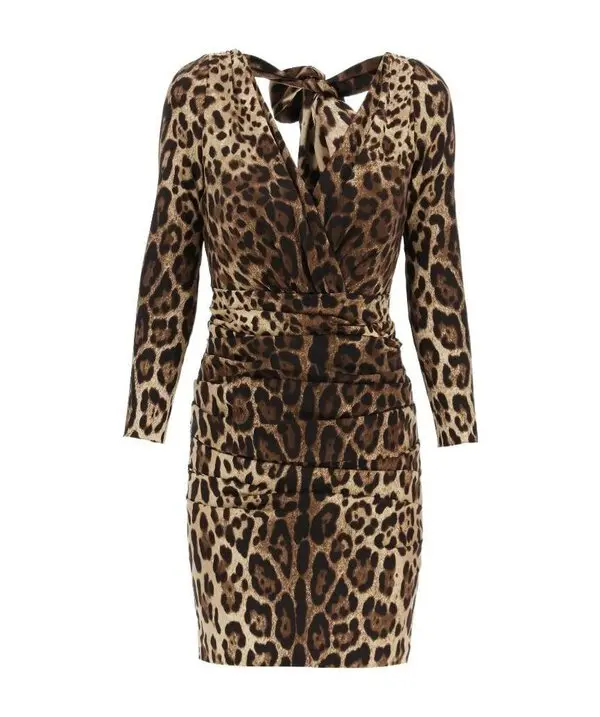 Dolce & Gabbana Leopard-print Dress