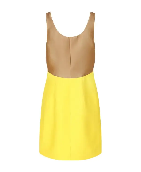 Valentino Garavani Color-blocked Sleeveless Mini Dress