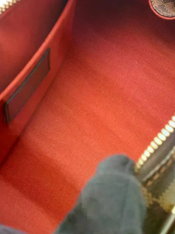 LOUIS VUITTON Damier Ebene Mini Ribera Handbag