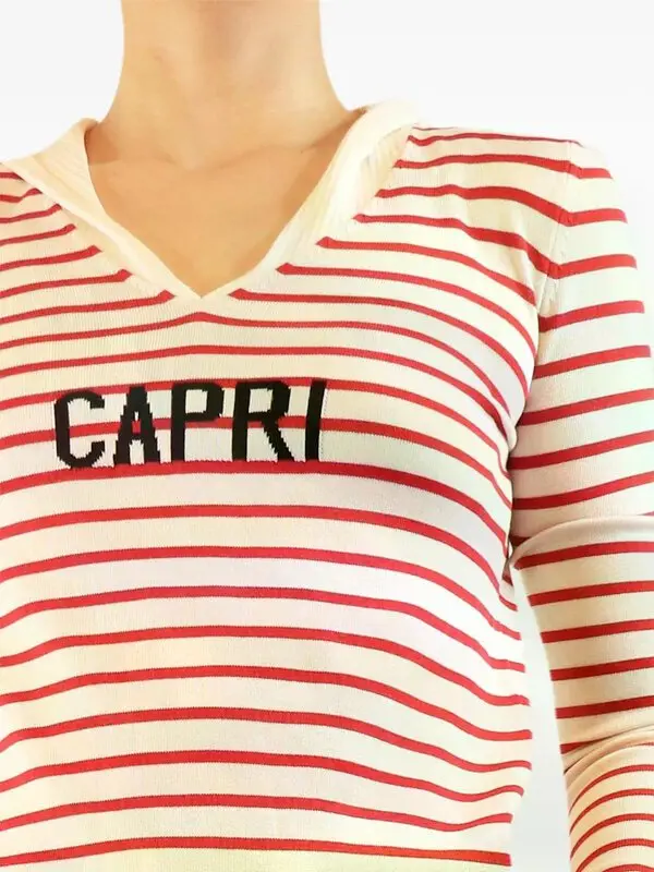 Dior Fine Knit Striped V-neck Sweater