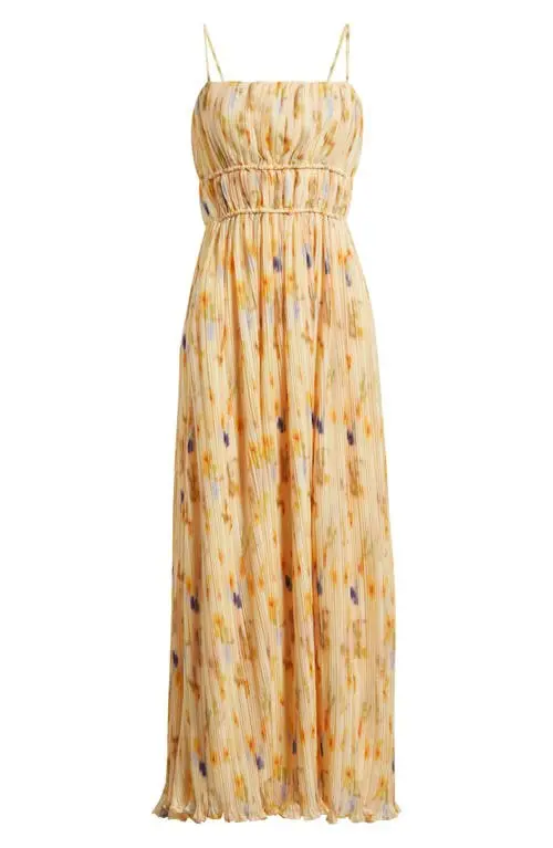 Line & Dot Potpourri Abstract Floral Micropleat Chiffon Maxi Dress