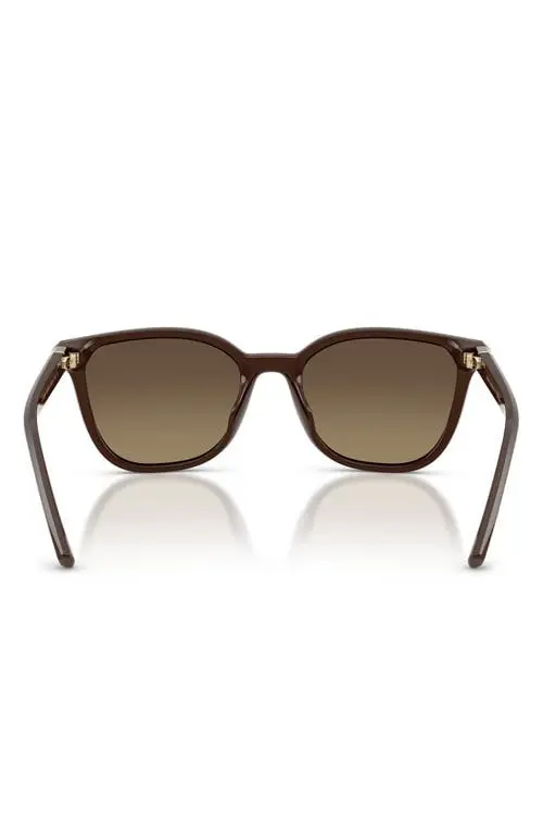 Armani Exchange 54mm Gradient Polarized Cat Eye Sunglasses