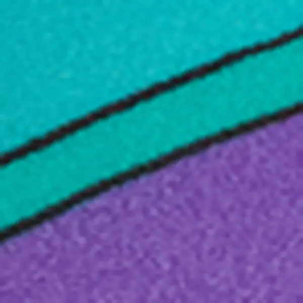 Emilio Pucci Vivara Triangle Bikini Top