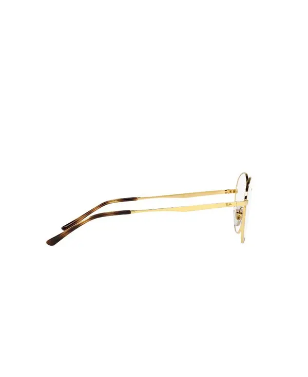 Ray-ban Round Frame Glasses