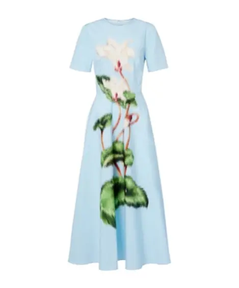 Oscar De La Renta Printed Cotton-blend Midi Dress - Blue