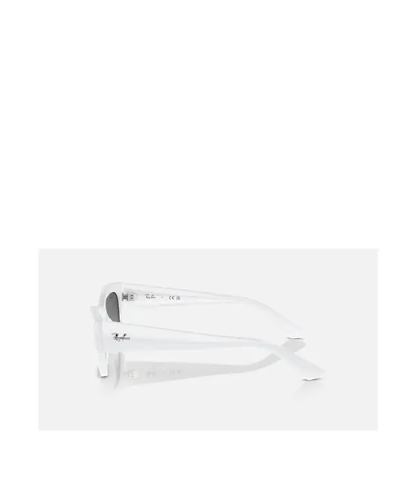 Ray-ban Full-frame Sunglasses