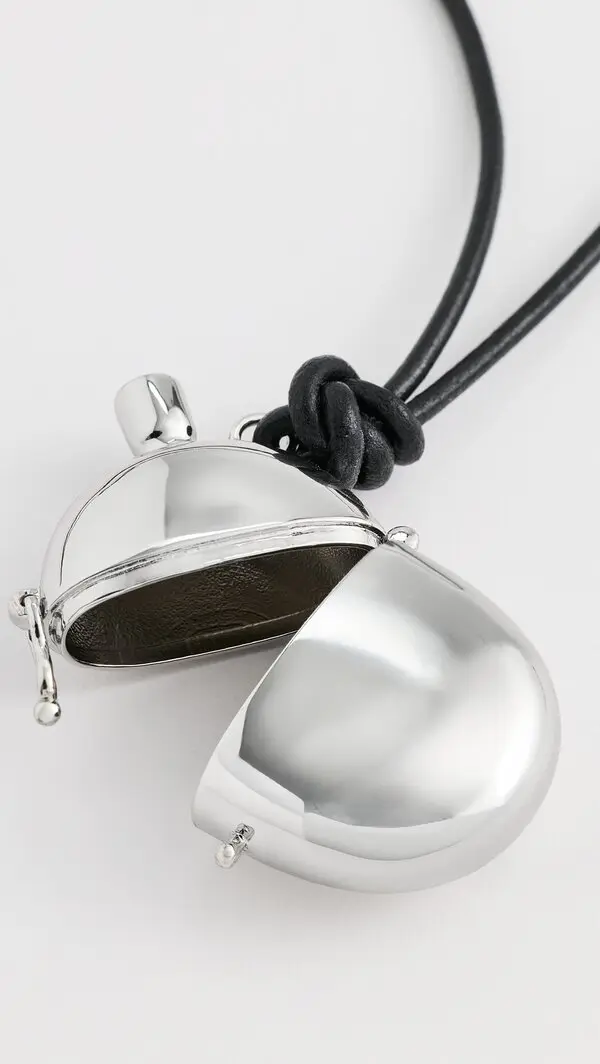 Shashi Treasure Case Necklace