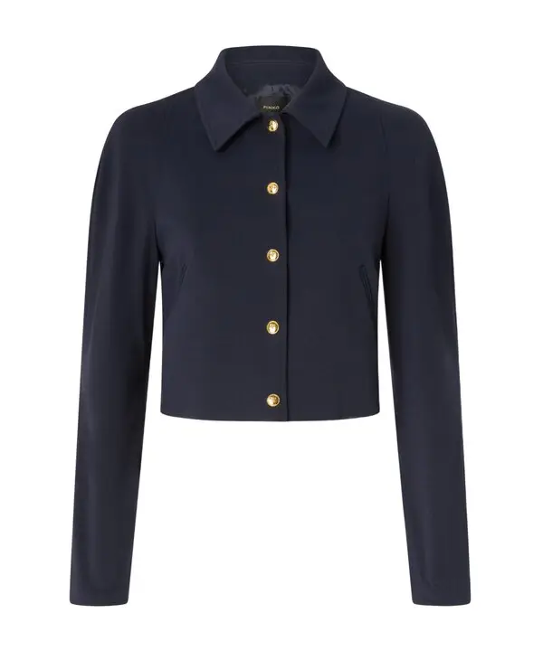 Pinko Button-fastening Cropped Jacket - Black