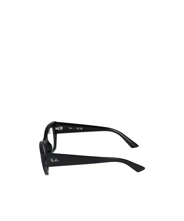 Ray-ban Zena Glasses