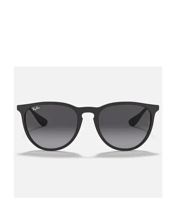 Ray-ban Erika Oversized Round Sunglasses