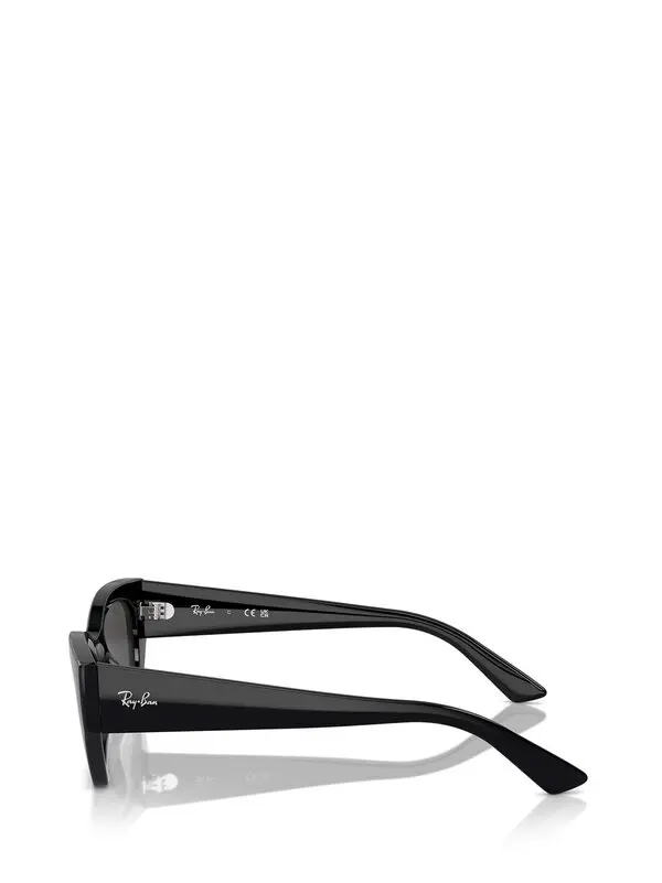 Ray-ban Zena Cat-eye Sunglasses