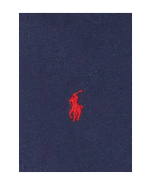 Polo Ralph Lauren Embroidered Pony Zip-up Hoodie