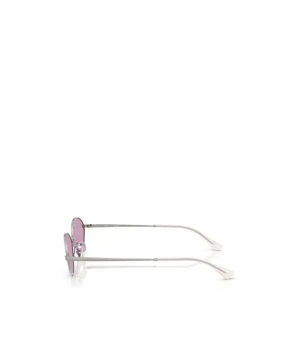 Ray-ban Frame Sunglasses